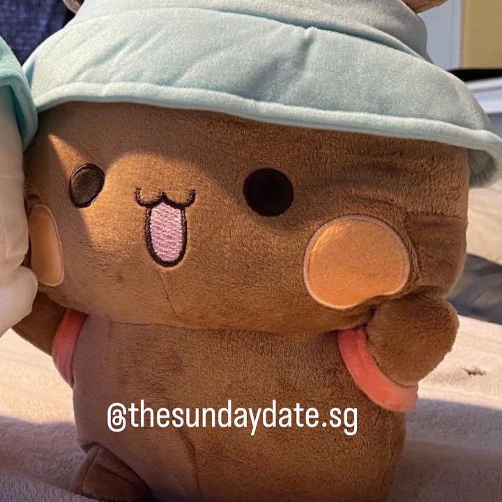 [GIFT SET] INSTOCKS GIFT SET COUPLE BEAR SET AND PANDA BUBU DUDU ...