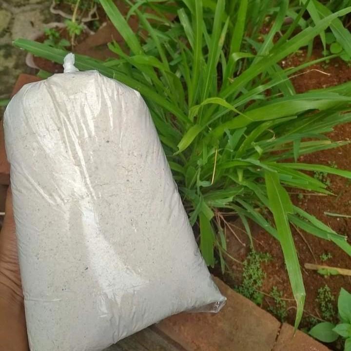 Tepung Gaplek 1kg / tepung tiwul / tepung singkong, Makanan & Minuman ... Tepung Gaplek 1kg / tepung tiwul / tepung singkong, Makanan & Minuman ...