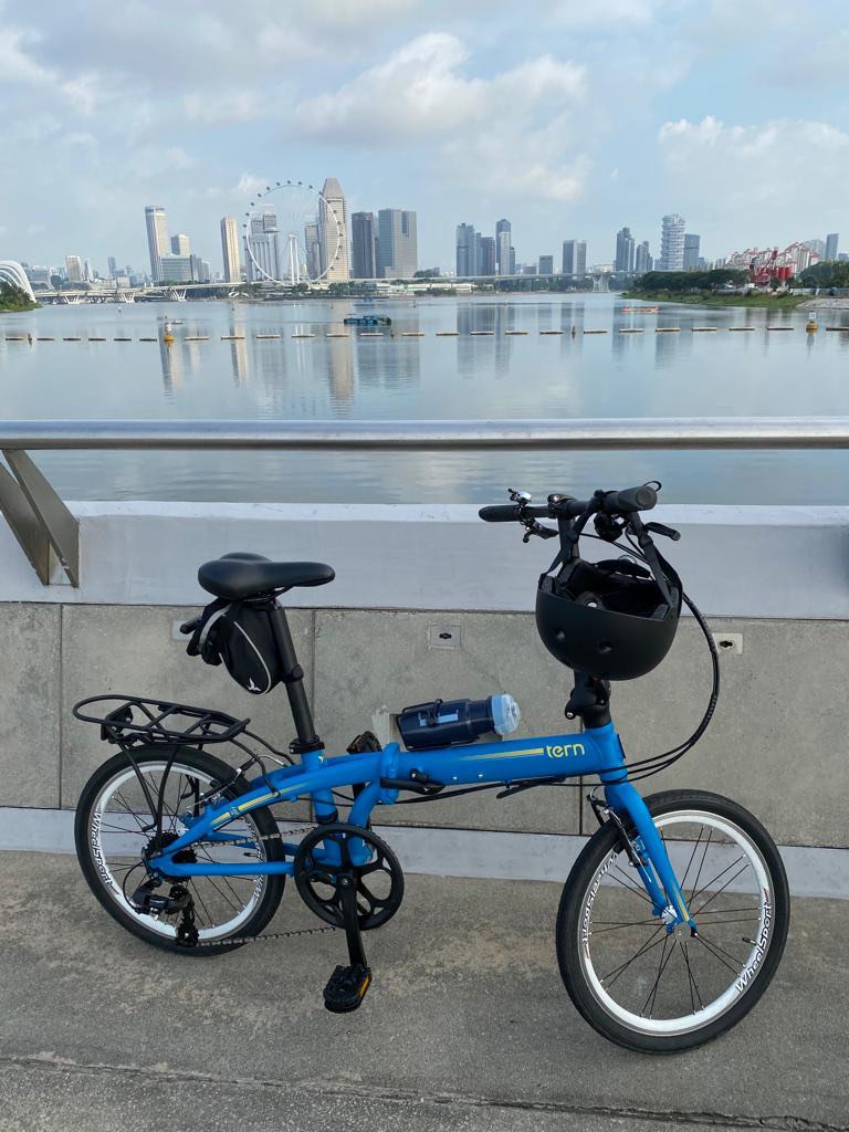 Tern Link C8 with Wheelsport wheelset, Sports Equipment, Bicycles ...