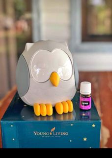 Young Living Shelly the Turtle Diffuser, TV & Home Appliances, Air ...