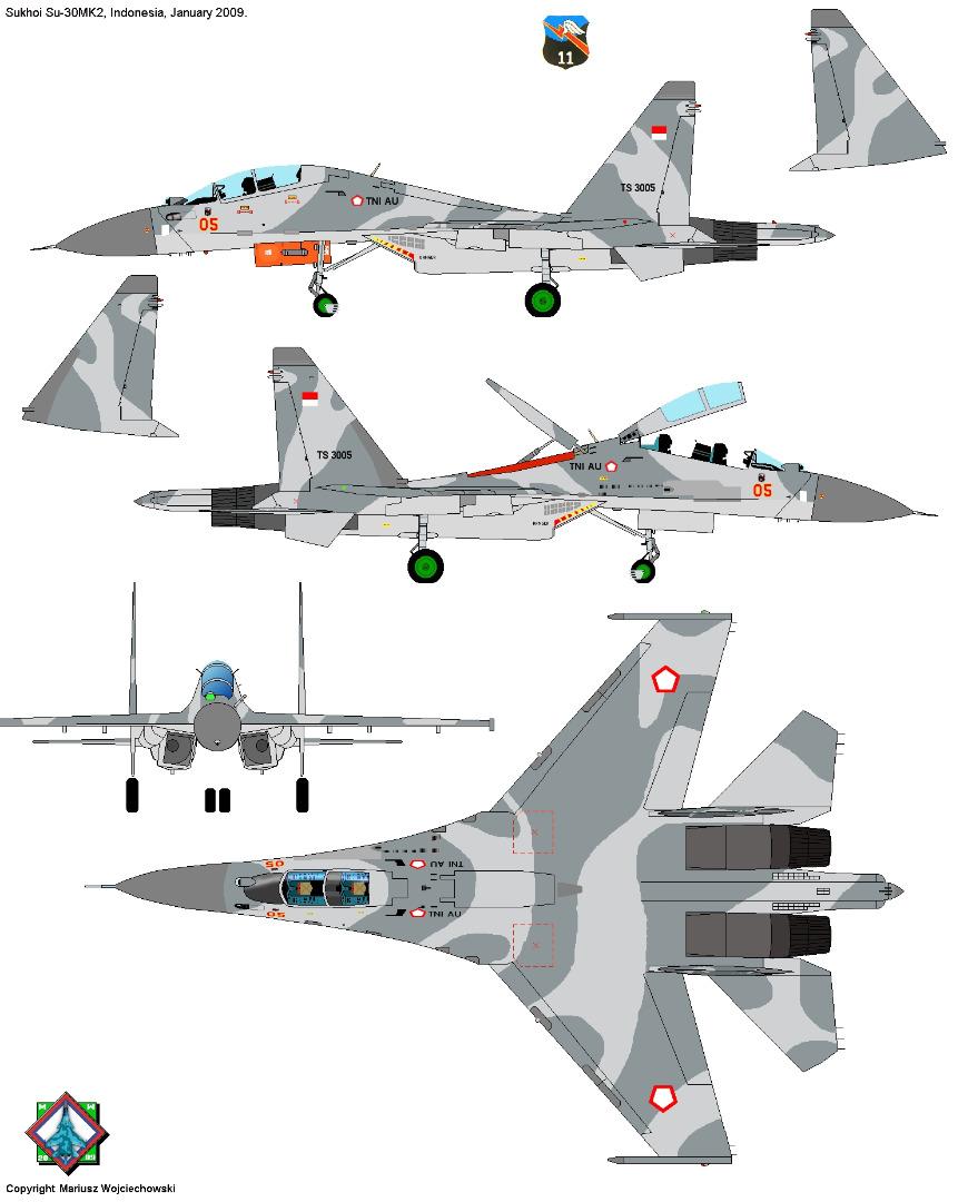 1/48 Indonesia (TNIAU) & Malaysia Air Force ( TUDM) SU-30 Flankers ...