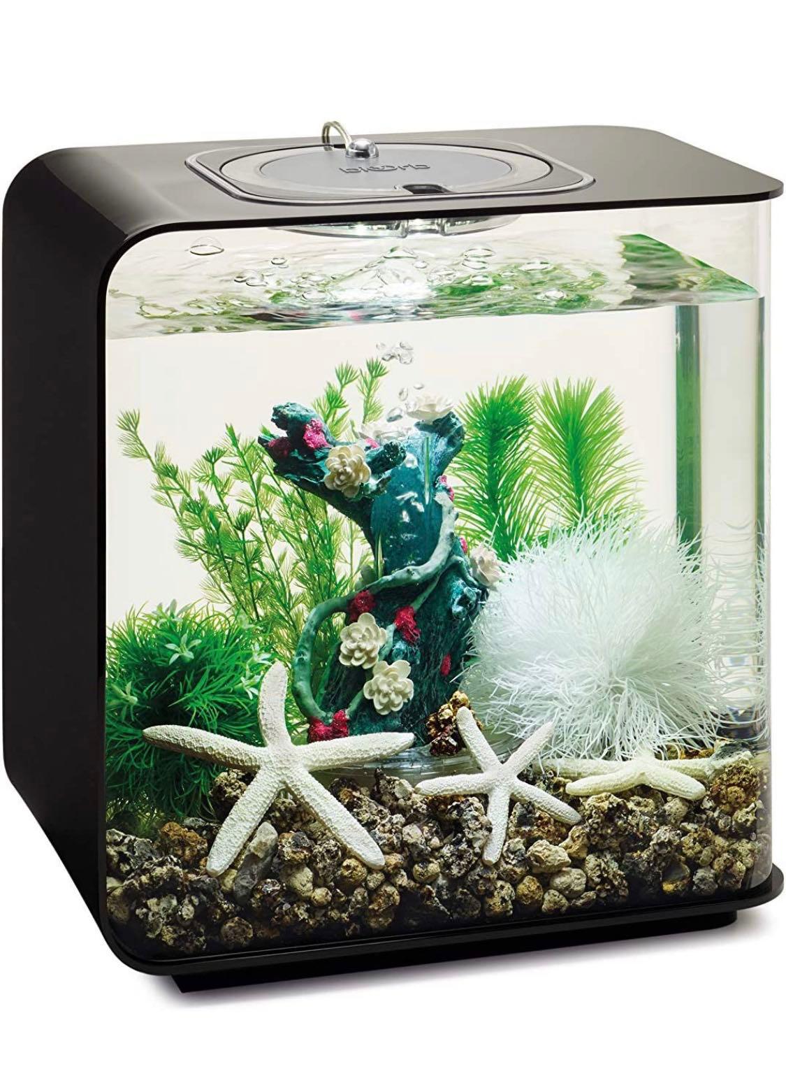 Biorb 15L flow fish tank, Pet Supplies, Homes & Other Pet Accessories ...