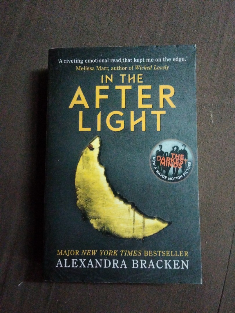 (BOOKTOK) IN THE AFTER LIGHT, Hobbies & Toys, Books & Magazines ...