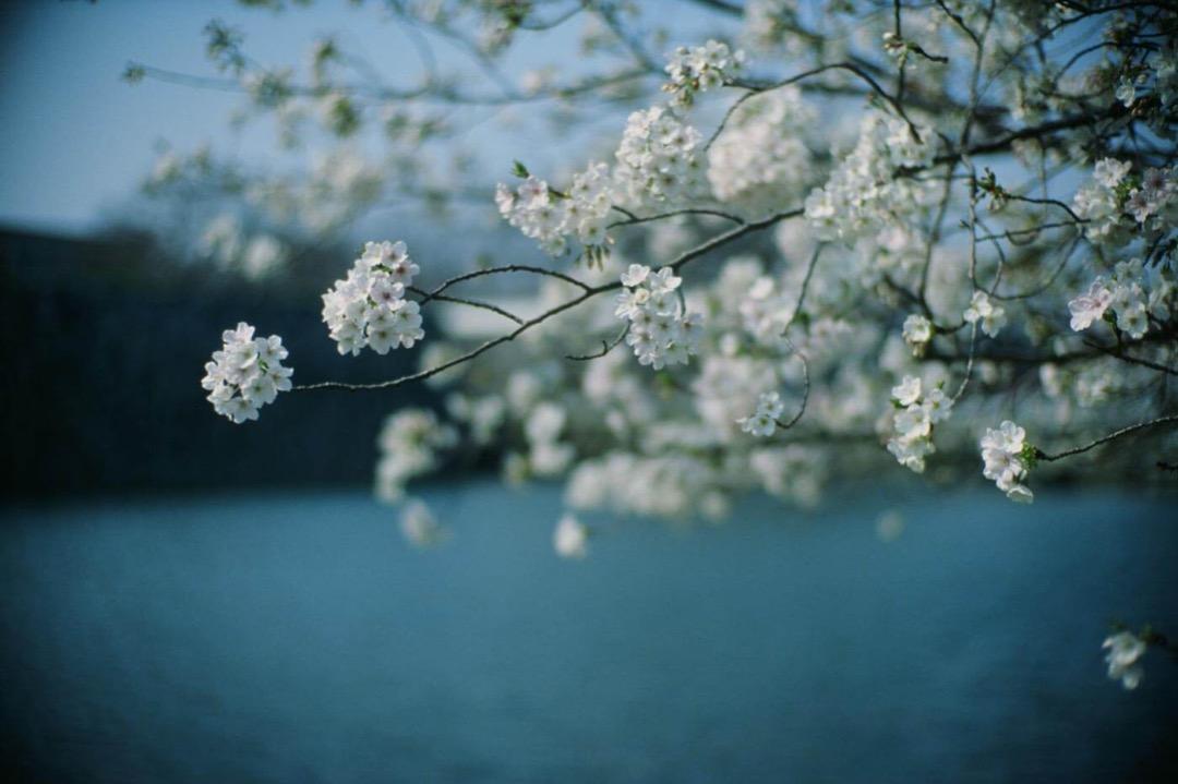 Kodak Ektachrome Professional E100 5294 36 張 彩色反轉片 菲林 正片 135 35mm, 攝影器材, 攝影配件, 其他攝影配件 - Carousell