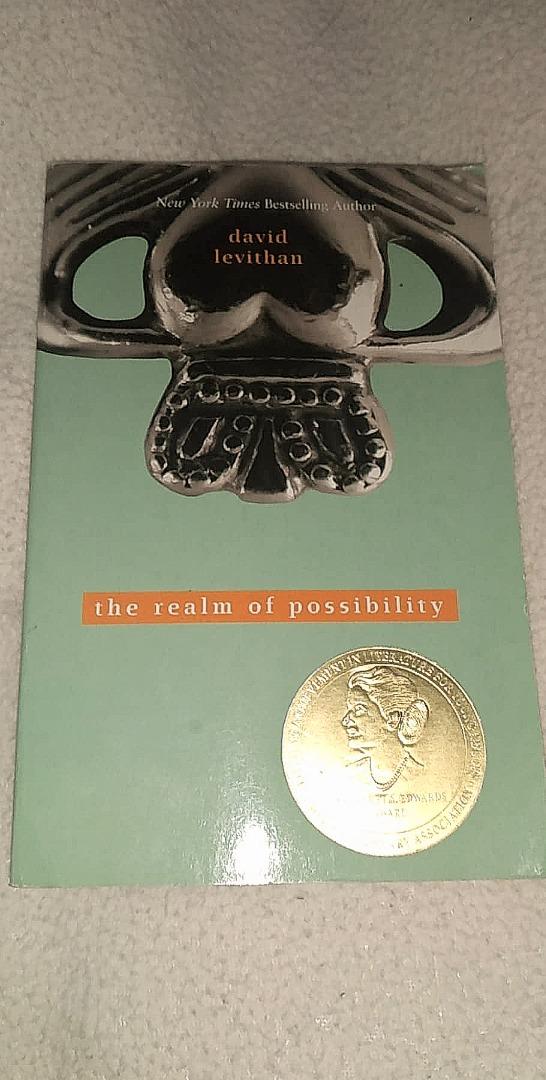 The Realm of Possibility Book - David Levithan, Hobbies & Toys, Books ...