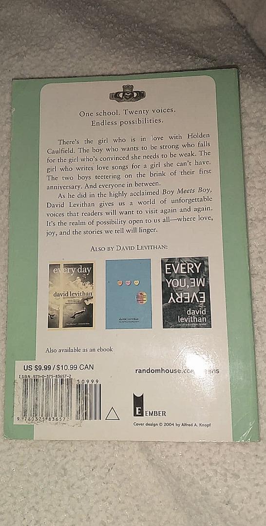 The Realm of Possibility Book - David Levithan, Hobbies & Toys, Books ...