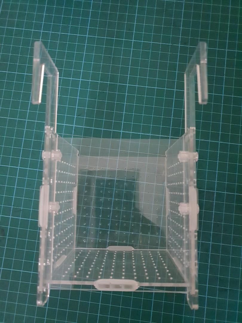 Acrylic Fish Breeding Isolation Box (hanging type) - fish tank ...