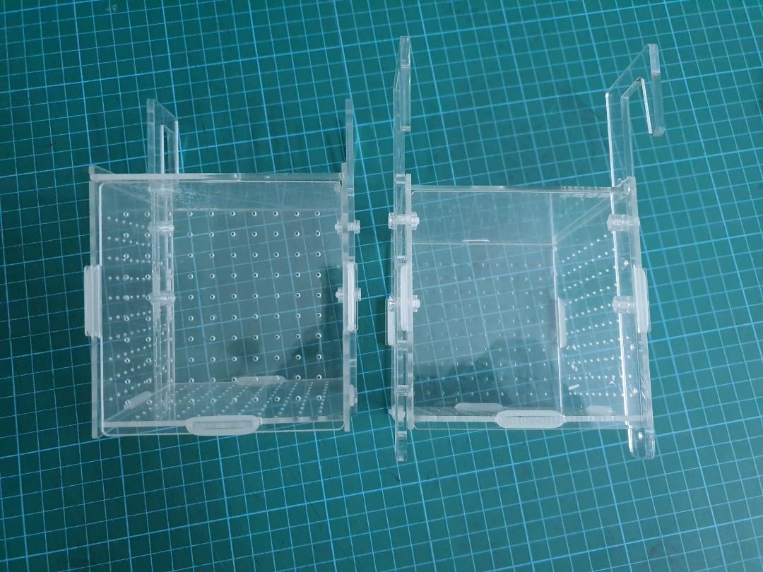 Acrylic Fish Breeding Isolation Box (hanging type) - fish tank ...