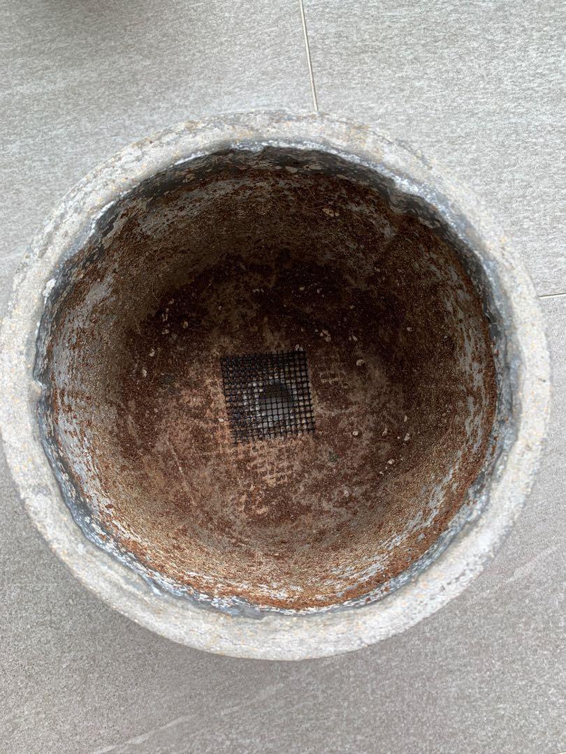 Betoni Concrete Planter Plant Pot, Furniture & Home Living, Gardening ...