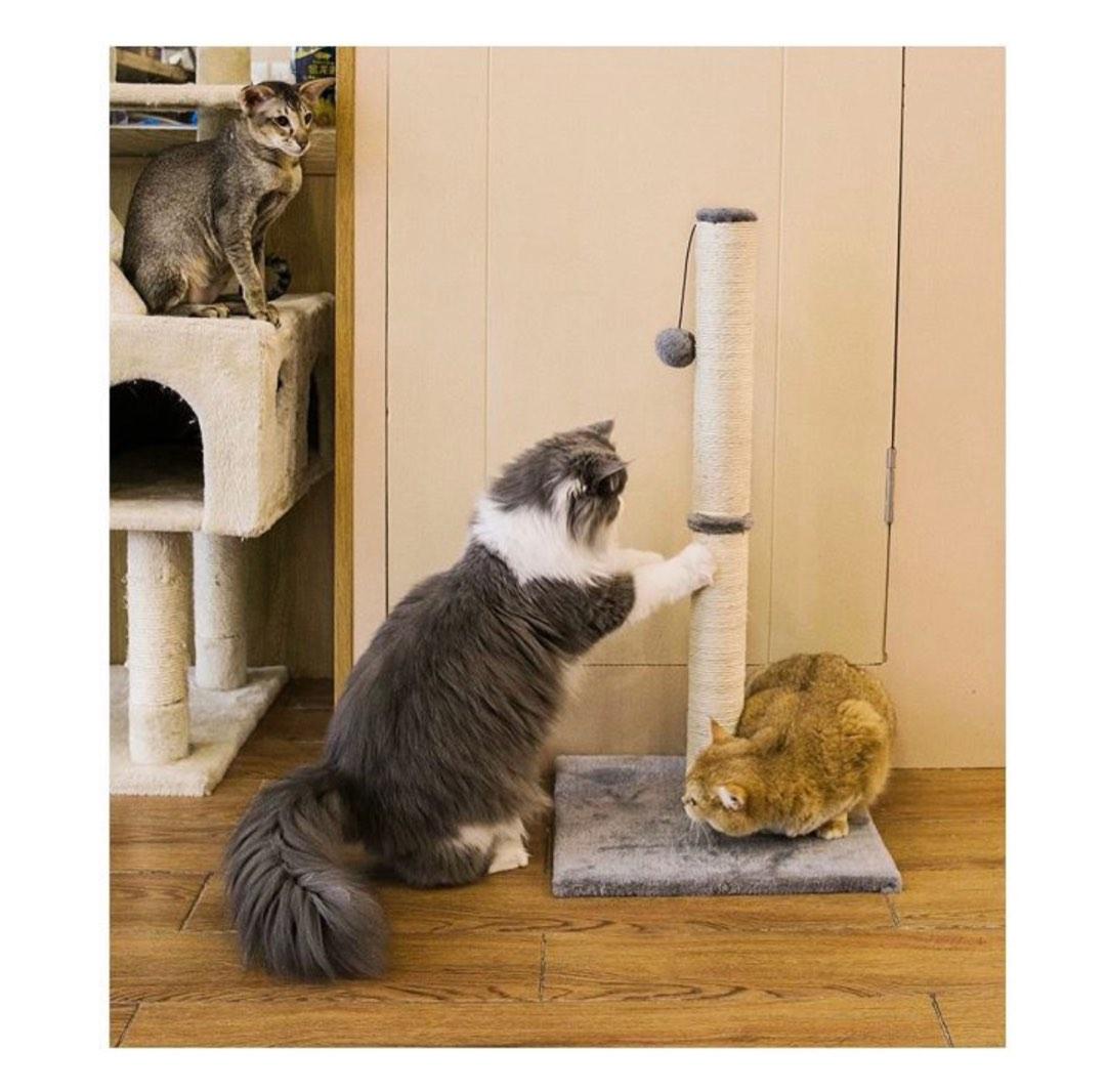 Cat Scratching Pole, Pet Supplies, Homes & Other Pet Accessories on ...