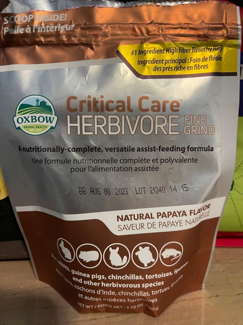 Critical care for rabbit, Pet Supplies, Pet Food on Carousell