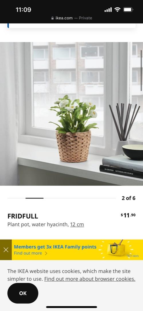 Fridfull IKEA planter, Furniture & Home Living, Gardening, Pots ...