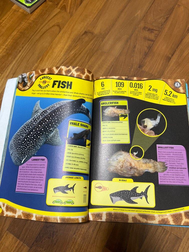 Guinness World Records - Wild Things, Hobbies & Toys, Books & Magazines ...