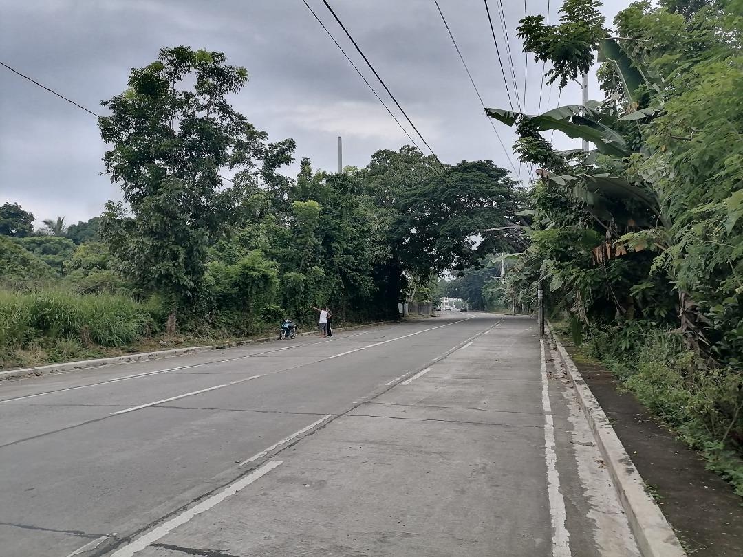 Indang Cavite Commercial lot, along Indang-Mendez road 6,109sqm P6,500 ...