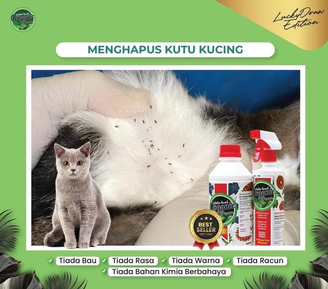 ORGANIC RIDSPRAY / WATERBASED INSECTICIDE / ODOURLESS / COCKROACH ...