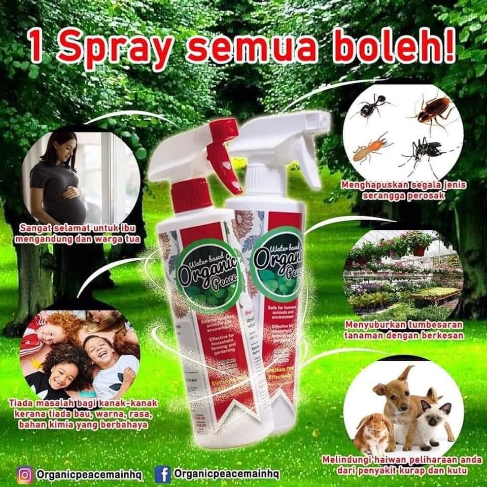 ORGANIC RIDSPRAY / WATERBASED INSECTICIDE / ODOURLESS / COCKROACH ...