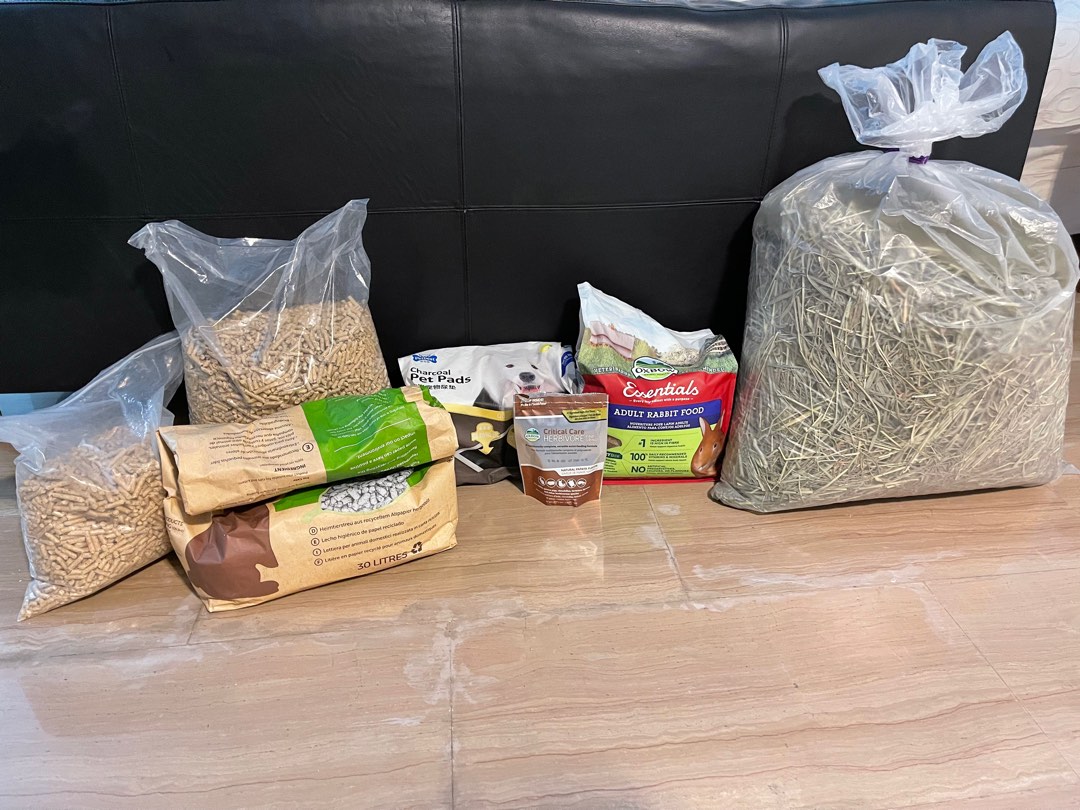 Rabbit Starter Kit, Pet Supplies, Pet Food on Carousell