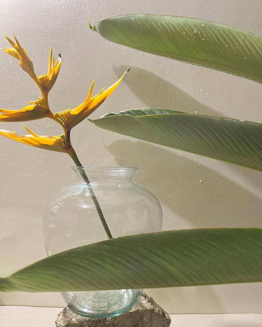 tapayan shape glass vase, Furniture & Home Living, Home Decor, Vases ...