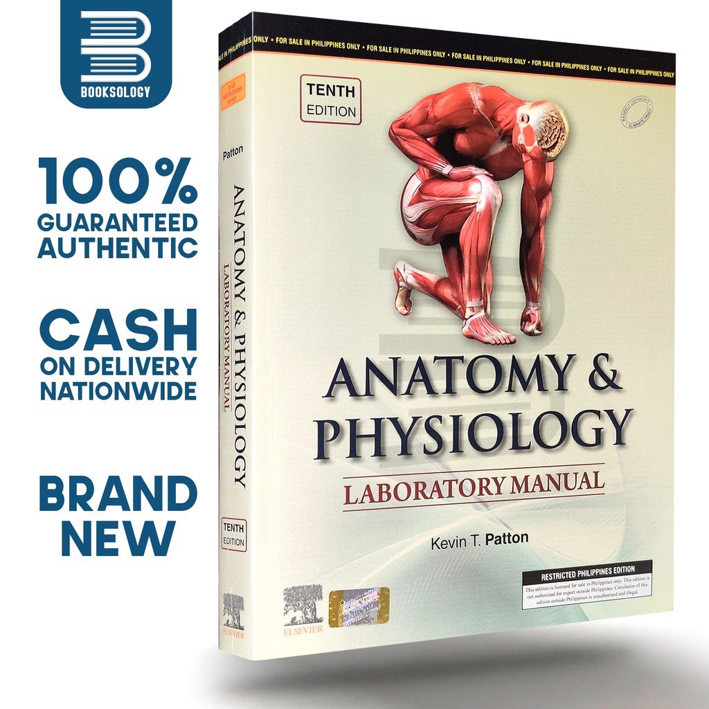 Anatomy And Physiology Laboratory Manual Hobbies Toys Books