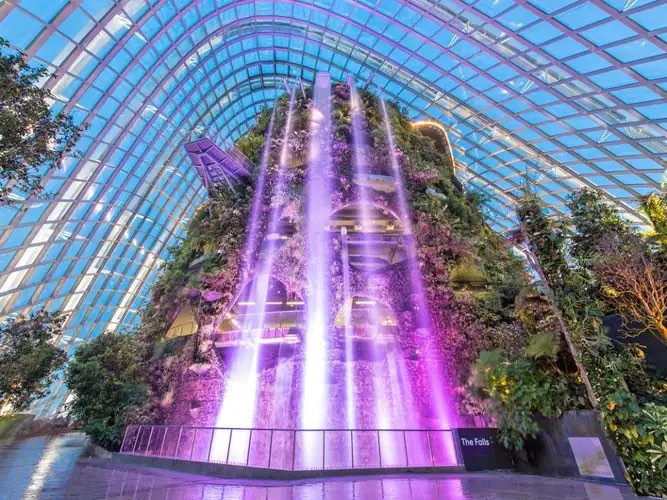 Gardens by the Bay Ticket Flower Dome Cloud Forest, Tickets & Vouchers ...