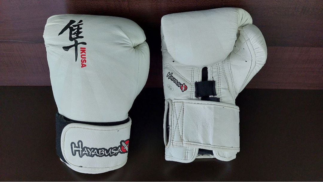 Hayabusa Ikusa 10oz Boxing Gloves - White, Sports Equipment, Other ...