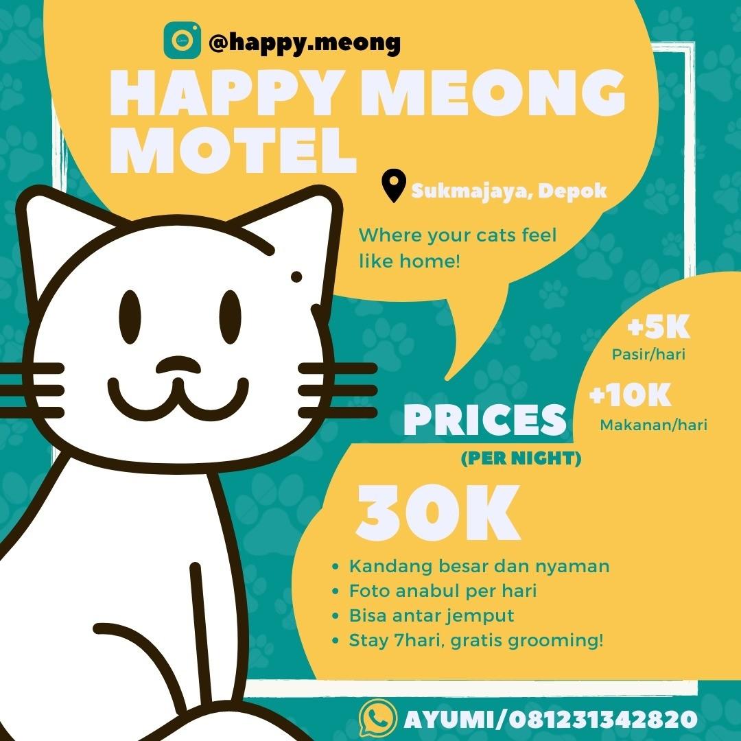 Hotel Kucing kandang besar tempat bermain luas, Perlengkapan Hewan ...