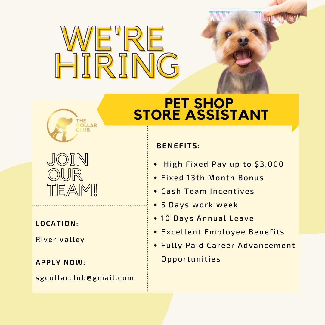 Pet Shop Store Assistant, Jobs, Sales, Retail & Marketing on Carousell