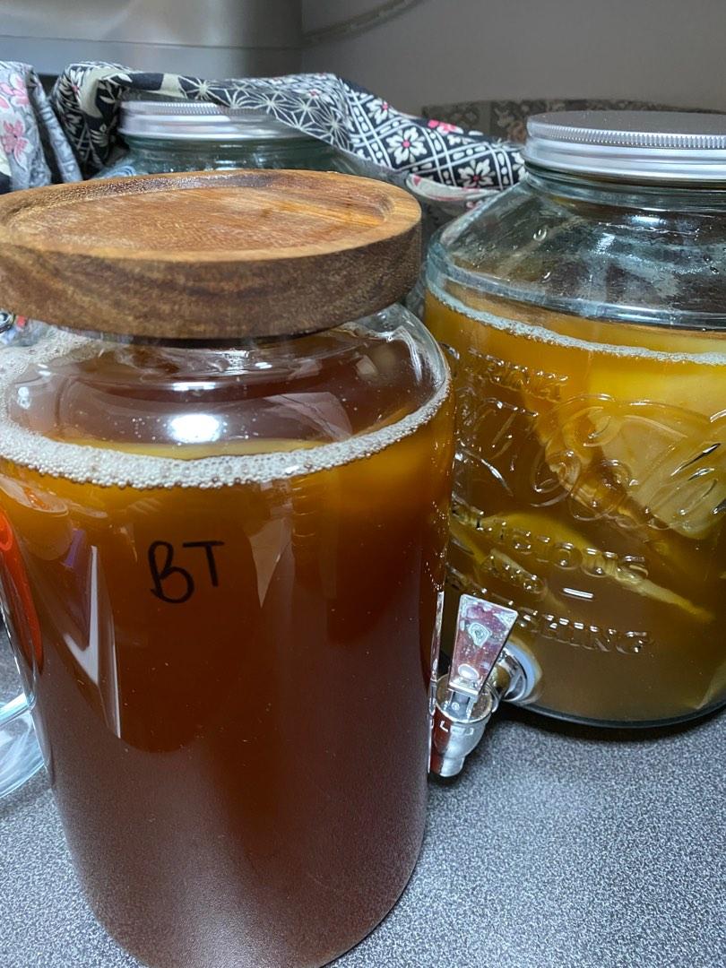 SCOBY, Food & Drinks, Other Food & Drinks on Carousell