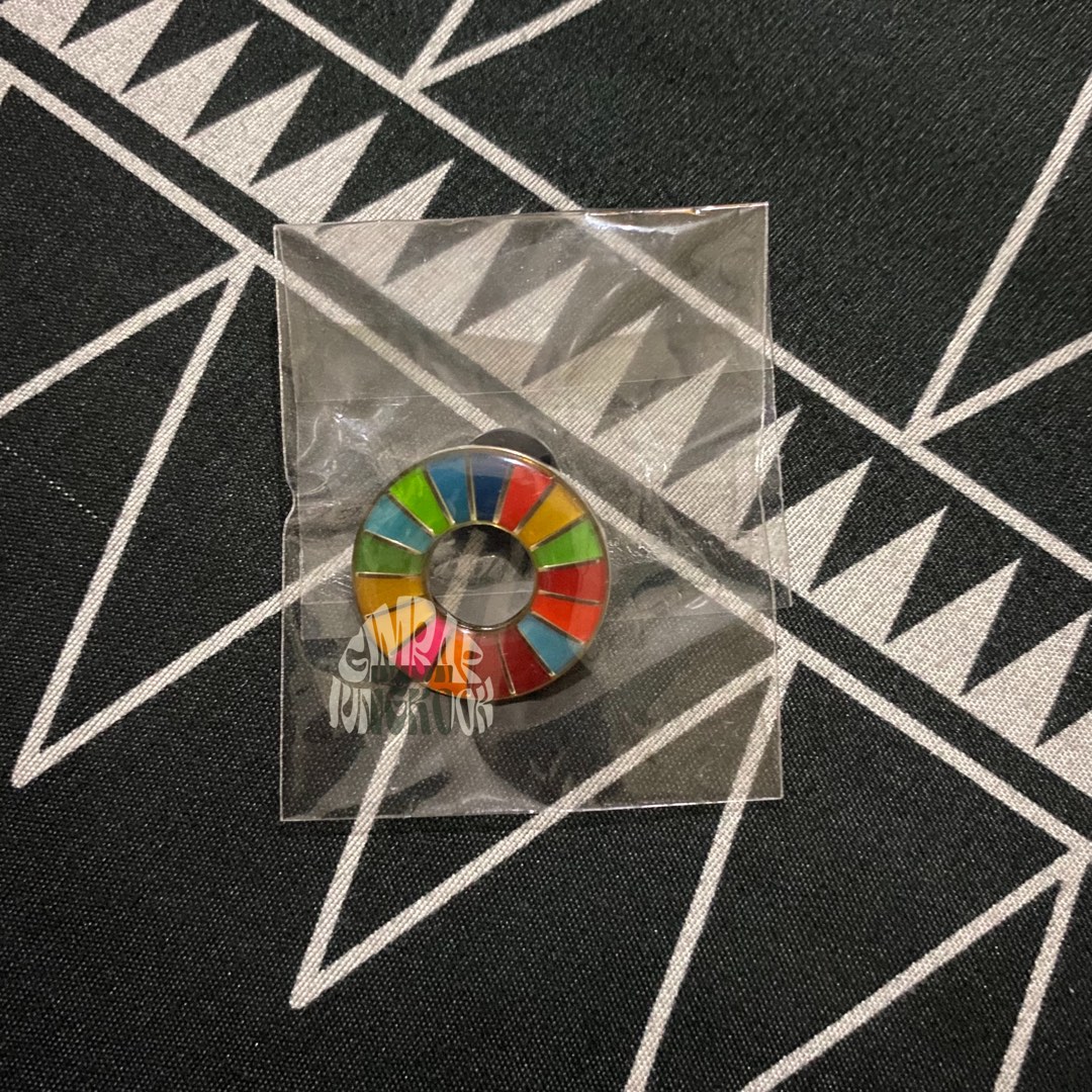 UN SUSTAINABLE DEVELOPMENT PIN (UN SDG PIN), Hobbies & Toys ...