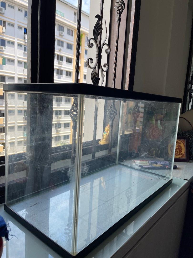 Acrylic fish tank 60 x 30, Pet Supplies, Homes & Other Pet Accessories ...