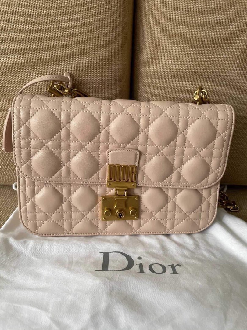Authentic Christian Dior Carnage Bag, Luxury, Bags & Wallets on Carousell