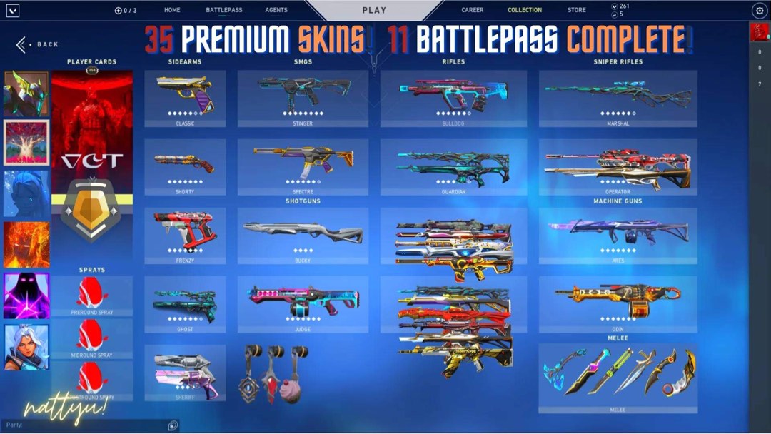 Champs bundle 35 prems valorant account, Video Gaming, Gaming ...