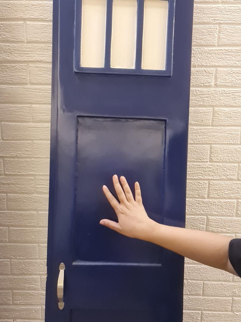 Doctor Who Tardis/Police Box Door (frame not included), Furniture ...