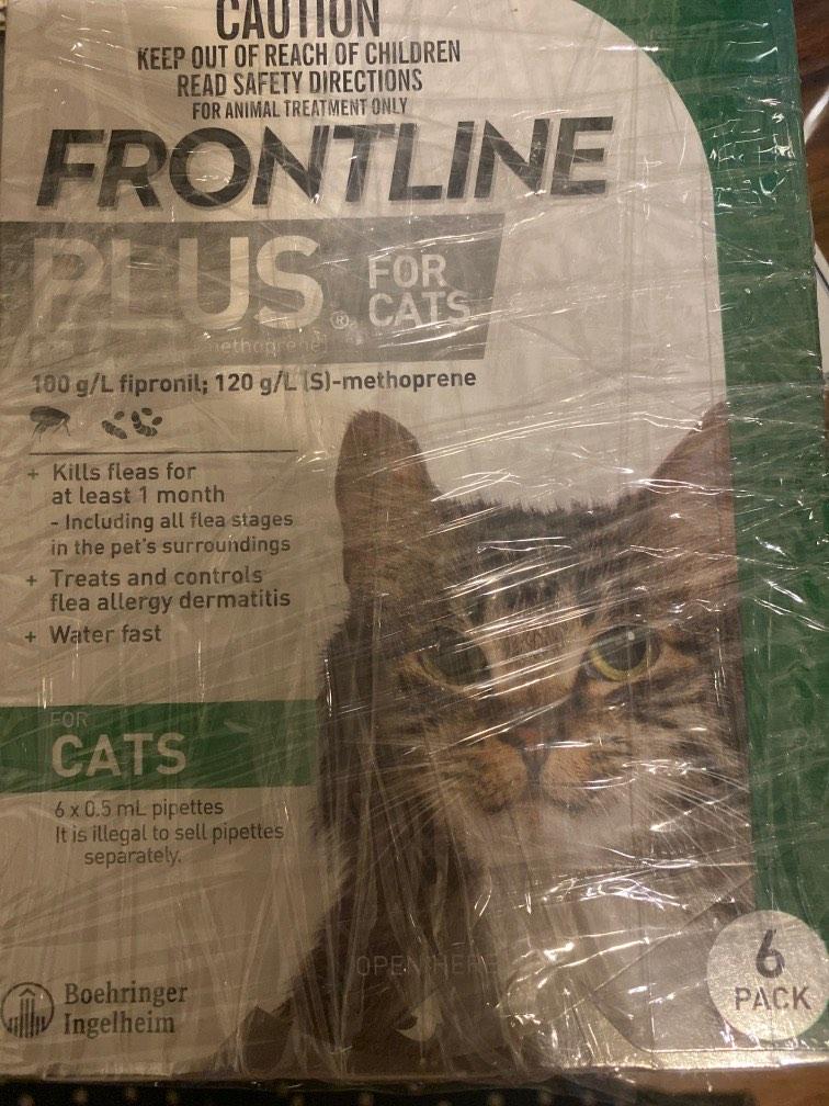 Frontline Plus For Cats 6-pieces pack, Pet Supplies, Homes & Other Pet ...