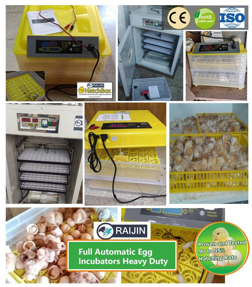 full automatic egg incubator 40 to 110+ capacity heavy duty BNEW ...