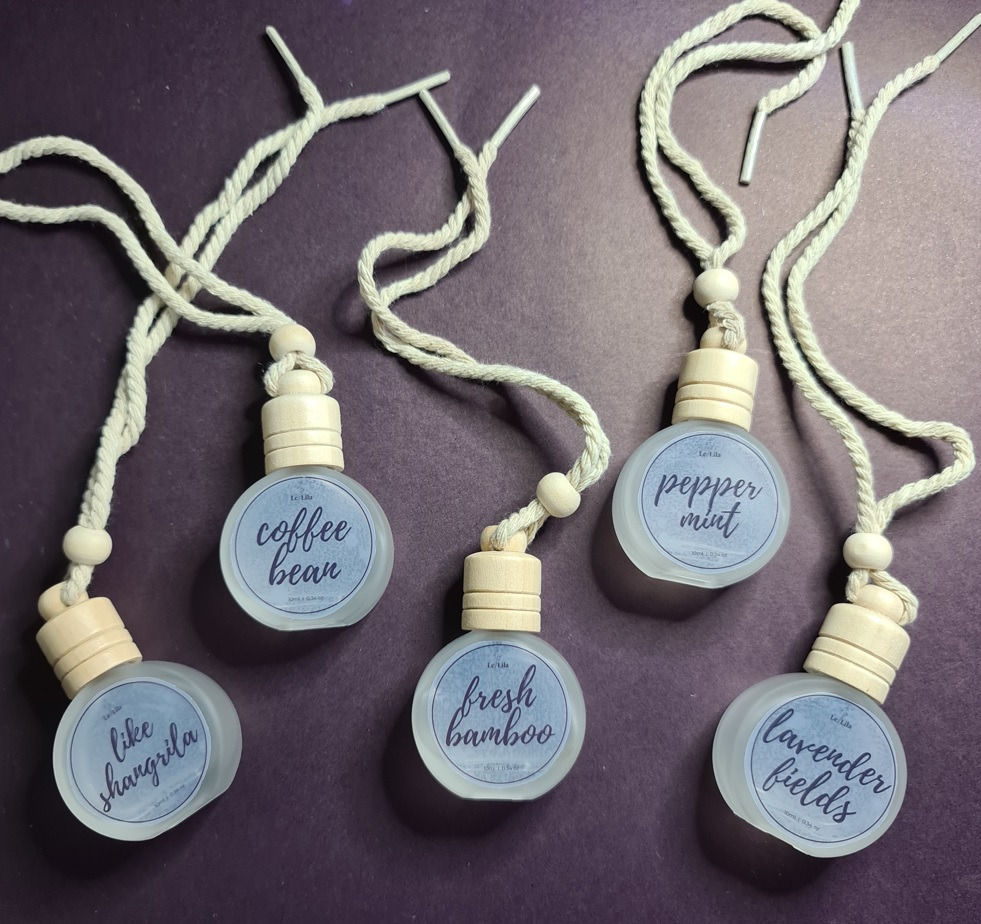 Hanging Diffuser/Car Diffuser/Air Freshener, Furniture & Home Living ...