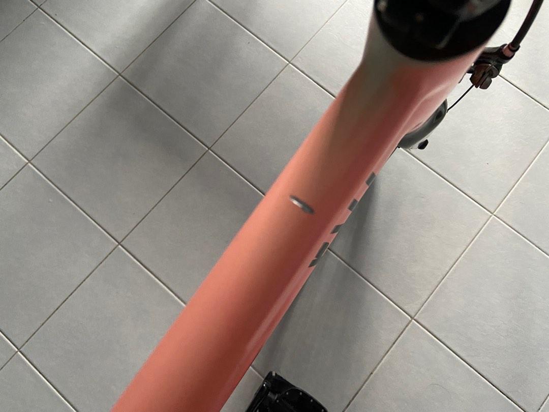 Pizz Brisbane Fixie Full Bike, Sports Equipment, Bicycles & Parts ...