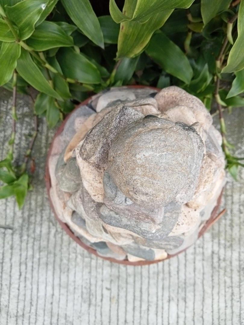 Stacked Stones on Pot, Furniture & Home Living, Gardening, Gardening ...