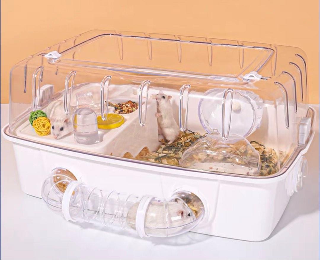 Carno Hamster Acrylic Cage 51cm, Pet Supplies, Homes & Other Pet ...