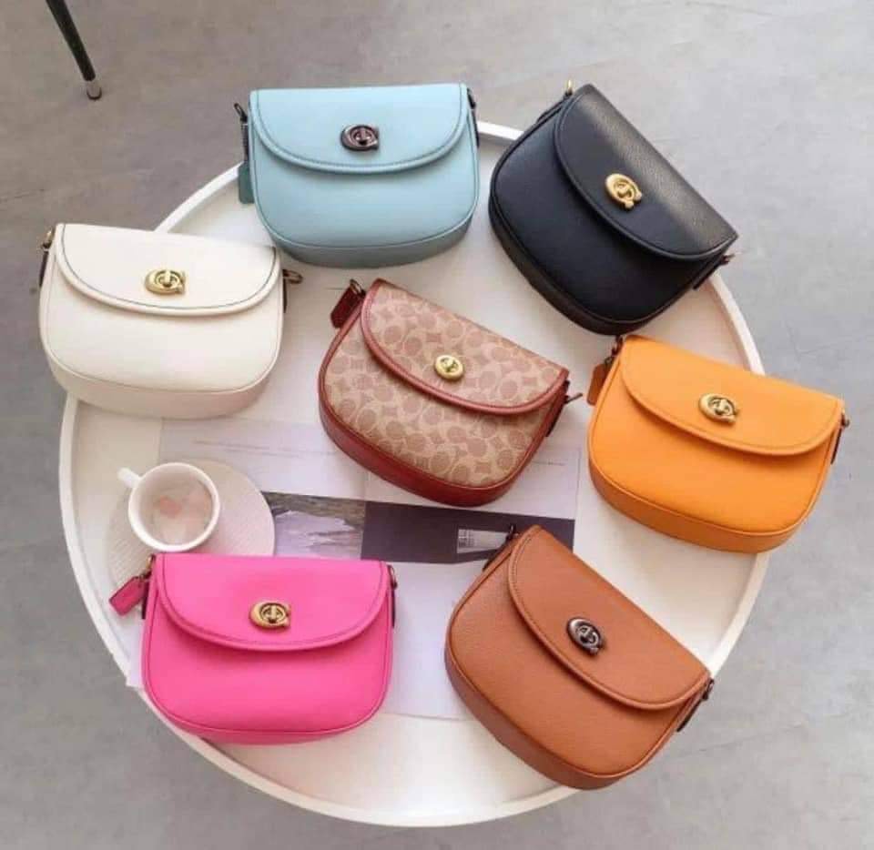 Coach Saddle Bag, Women's Fashion, Bags & Wallets, Cross-body Bags on ...