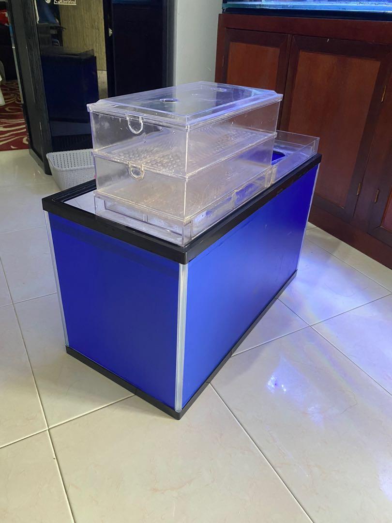 Gex 2 ft Fish Tank with OHF, Pet Supplies, Homes & Other Pet Accessories on Carousell