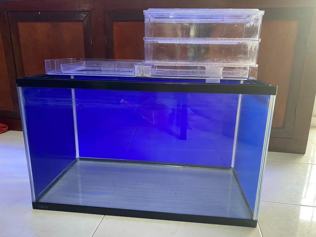Gex 2 ft Fish Tank with OHF, Pet Supplies, Homes & Other Pet Accessories on Carousell