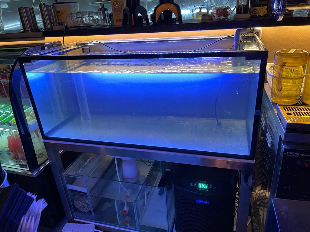 Lobster Tank with chiller , Everything Else on Carousell