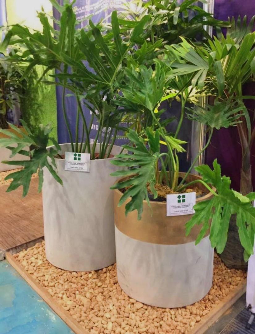 NATHALIA Concrete GFRC Planters, Furniture & Home Living, Gardening ...
