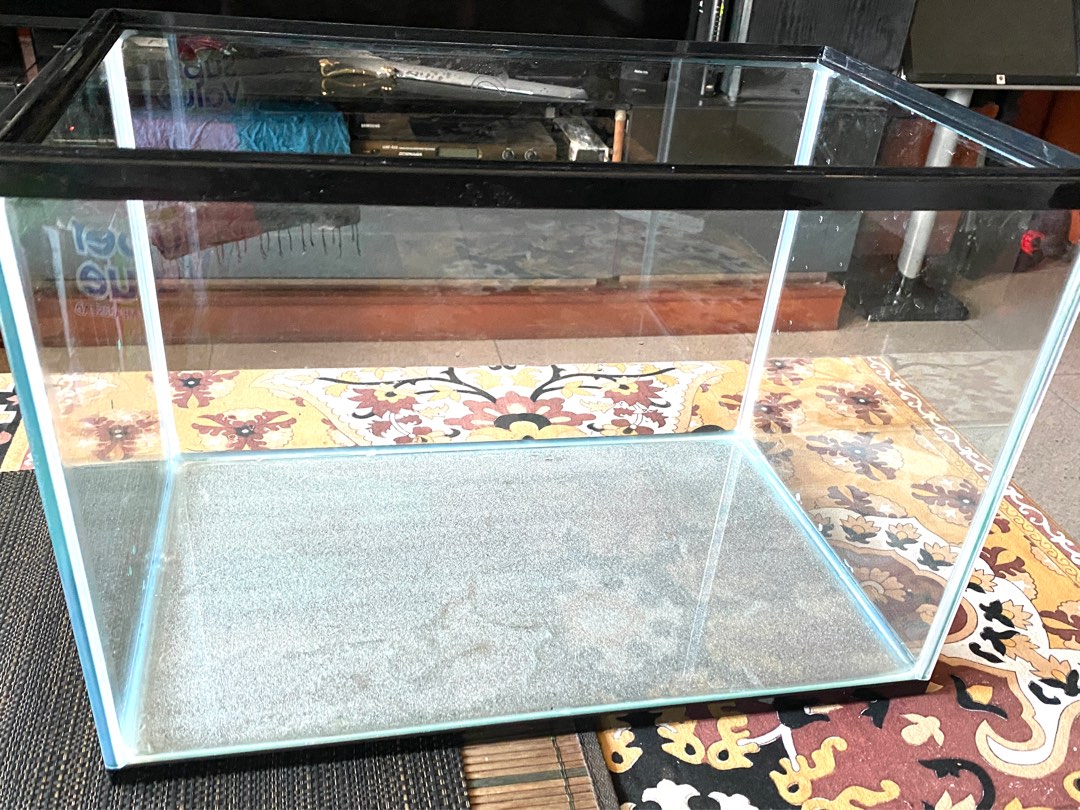 Ocean Free Tank 1.5 Ft Set, Pet Supplies, Homes & Other Pet Accessories ...