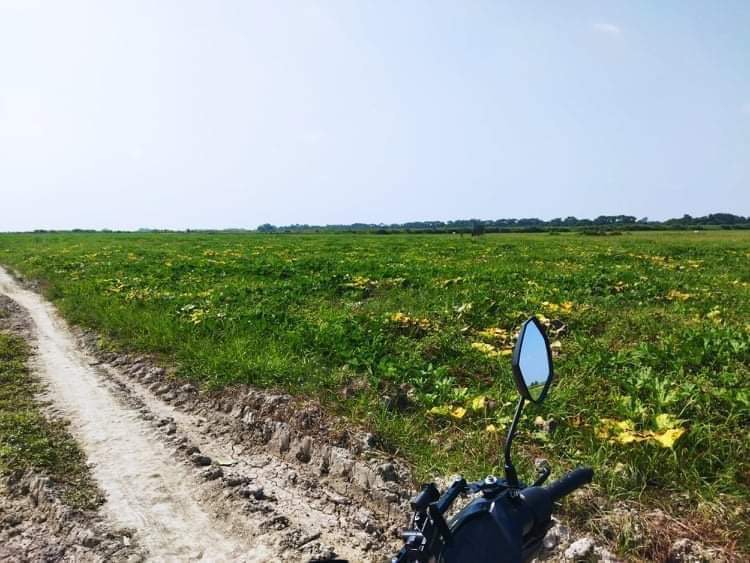 San Gabriel Bayambang Pangasinan Farm Lot For Sale, Property, For Sale ...