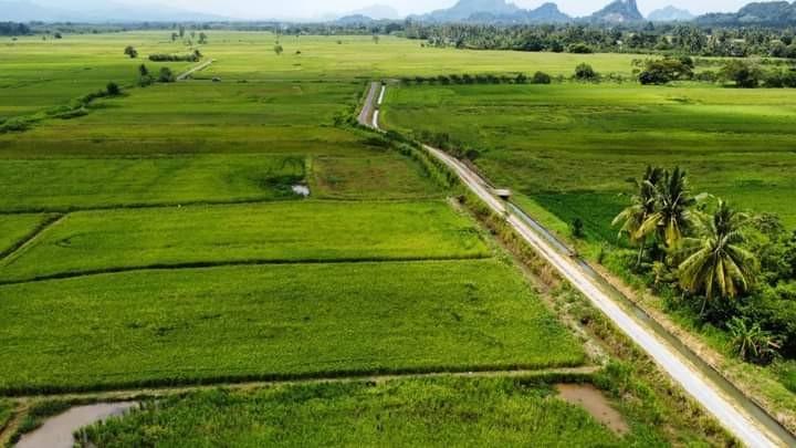 TANAH BENDANG DI NGULANG PERLIS, Property, For Sale on Carousell