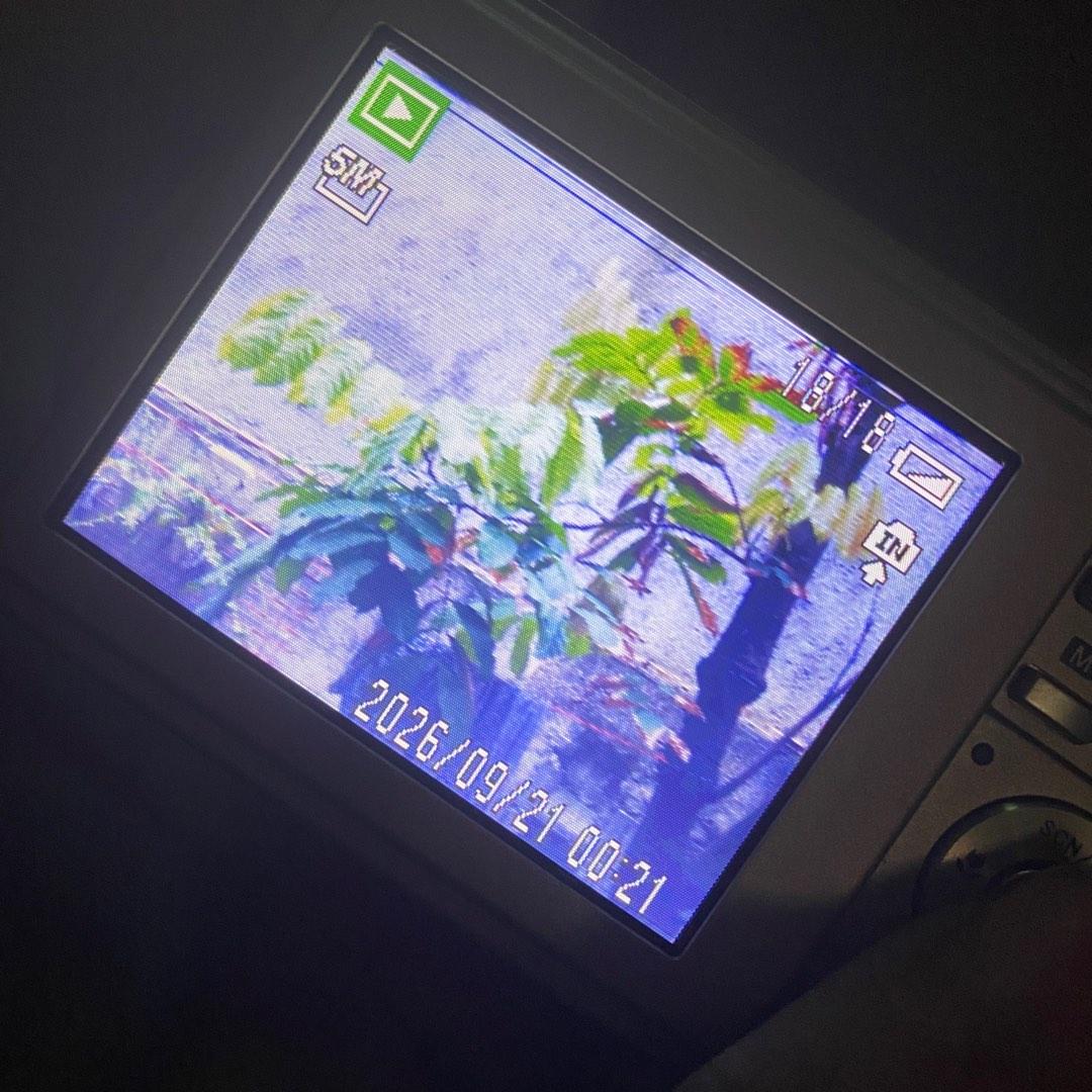 VINTAGE VIBE DIGICAM POLAROID M536 WITH DATE STAMP AND COLOR EFFECT ...