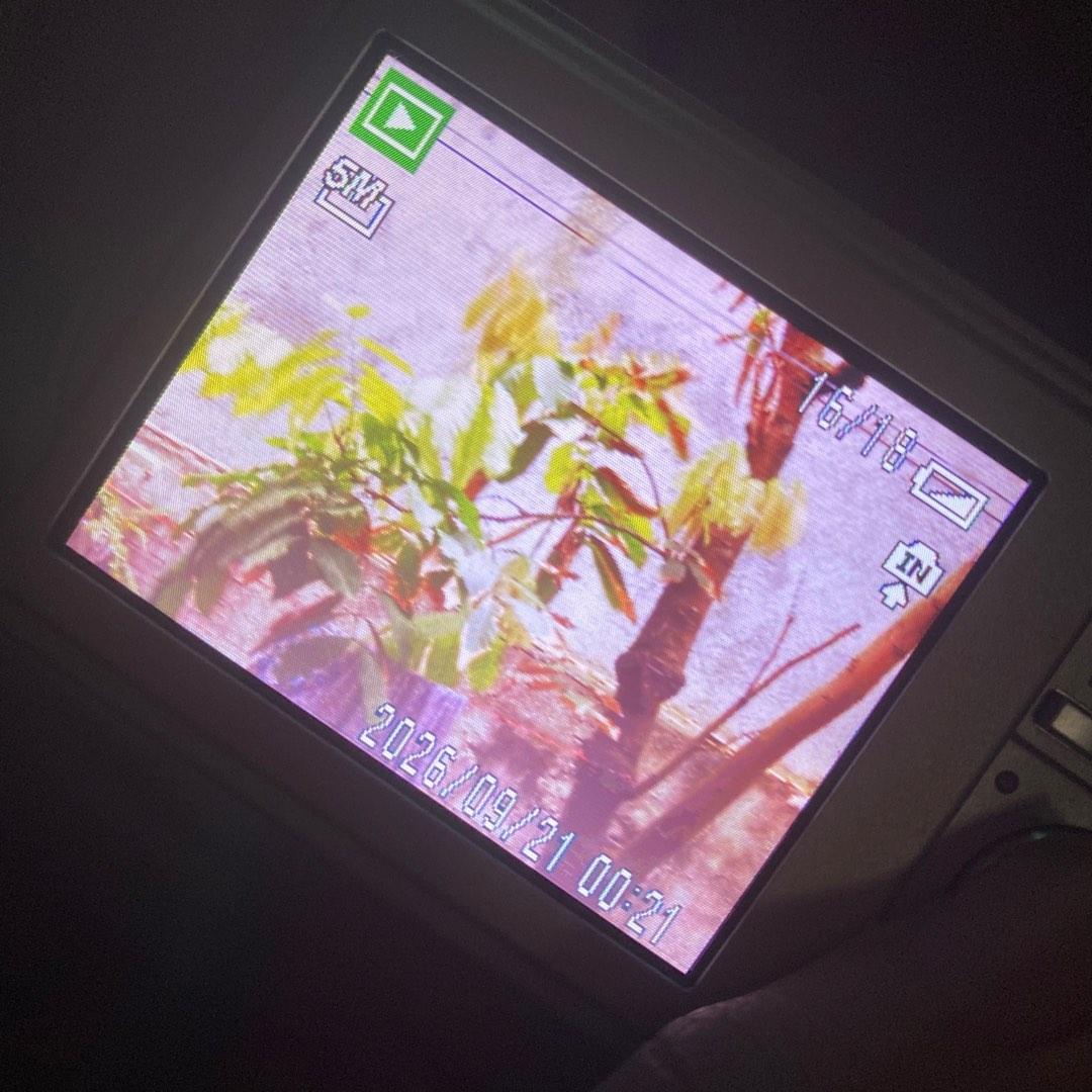 VINTAGE VIBE DIGICAM POLAROID M536 WITH DATE STAMP AND COLOR EFFECT ...