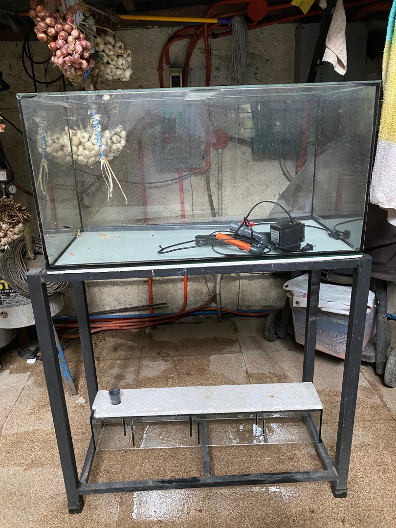 50 Gallon Tank with Dual Stand, Overhead Sump and Accessories, Pet ... 50 Gallon Tank with Dual Stand, Overhead Sump and Accessories, Pet ...
